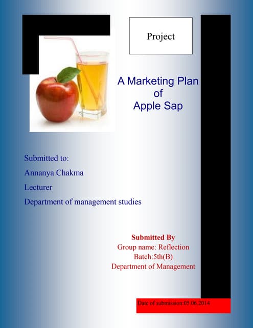 12th bst project on marketing management | PDF
