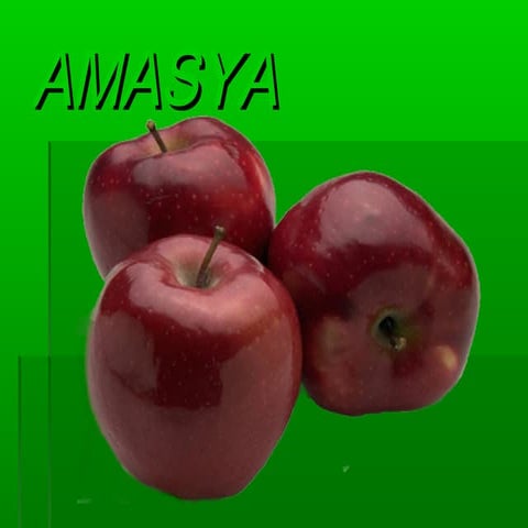 Amasya | PPT