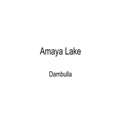 Amaya Lake, Dambulla - Sri Lanka | PPT