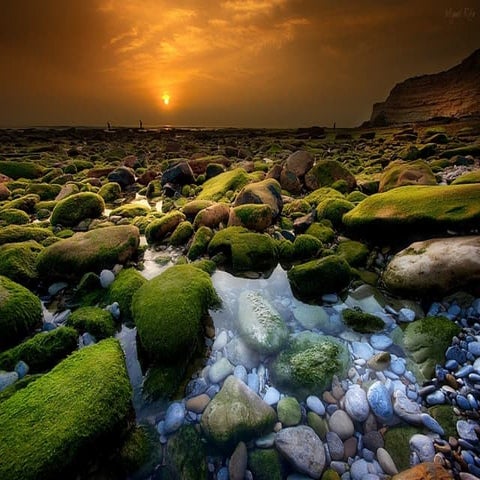 Amazing Nature | PPS