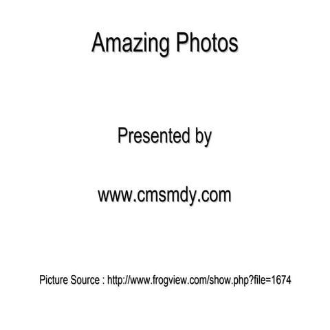 Amazing Photos | PPT