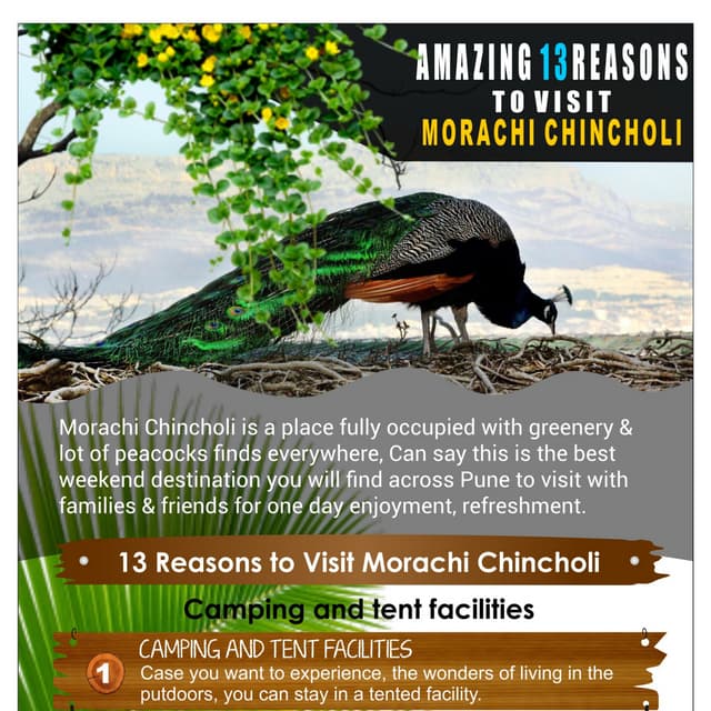 Amazing 13 reasons to visit morachi chincholi | PDF