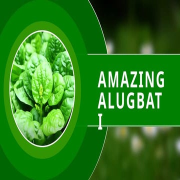 The Amazing and Marvelous Usage of Alugbati.pptx