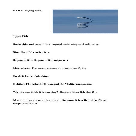 Mrs. Carlin Grade 2 Sea Animals | PPT