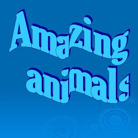 Amazing animals | PPT