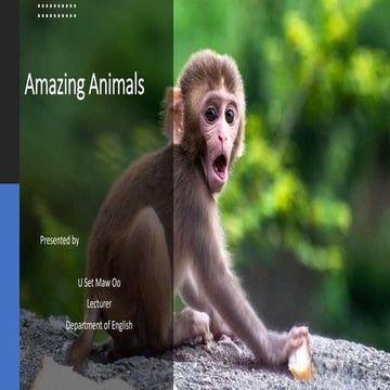 Amazing Animals.pptx