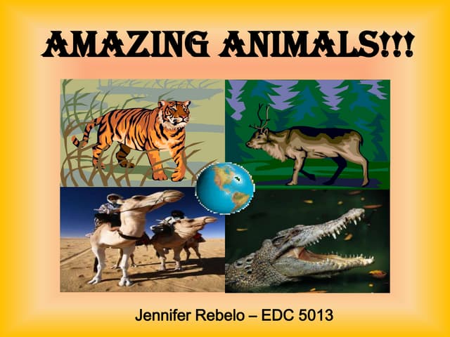 Animals & their habitat | PPTX