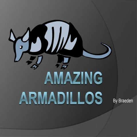 Amazing Armadillos by Braeden | PPTX