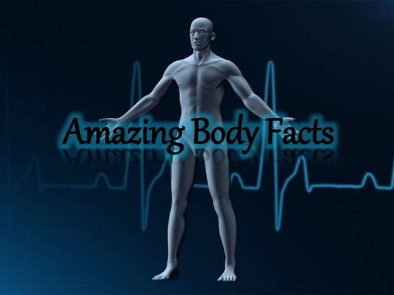 Interesting Human Body Facts | PDF
