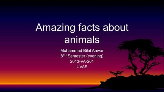 Fun and interesting facts powerpoint | PPTX | Fish and Aquariums | Pets