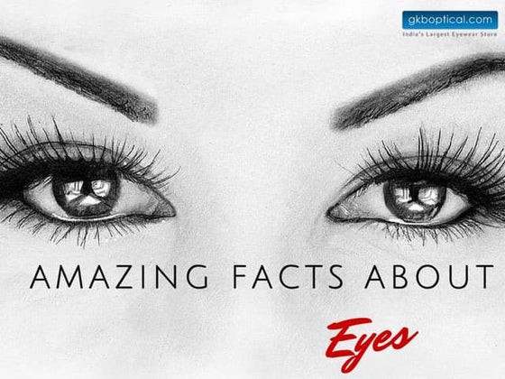 Facts about different Eye Colours | PPT