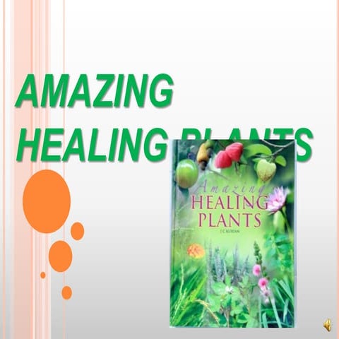 Amazing Healing Plants | PPTX