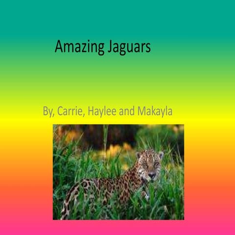 Jaguar reading comprehension.pdf
