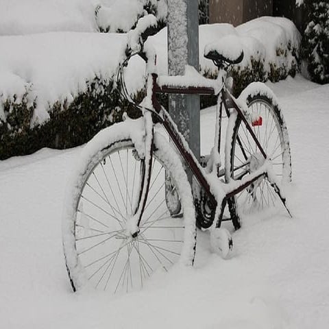 Amazing Pictures Of Heavy Snow | PPS