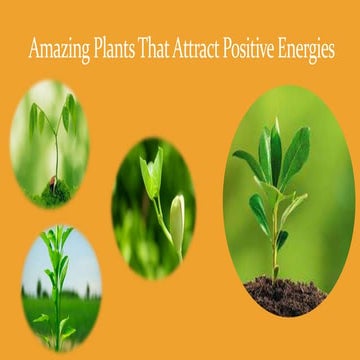 Amazing plants that attract positive energies | PPT