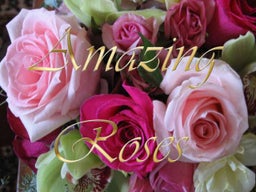 Have a nice weekend | PPT