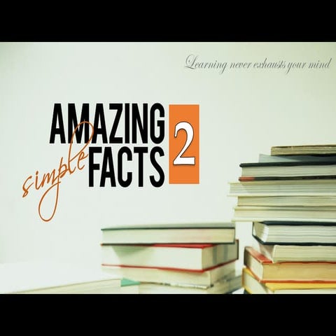 Fun facts | PPTX