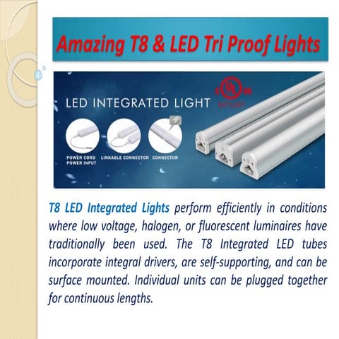 Amazing t8 & led tri proof lights | PPT