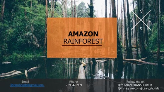 The Amazon Rainforest | PPT