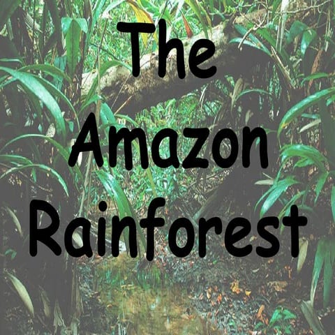 Amazon Rainforest | PPT