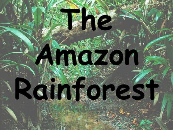 The Amazon Rainforest | PPTX | Geography | Science