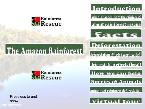 The Amazon Rainforest | PPT