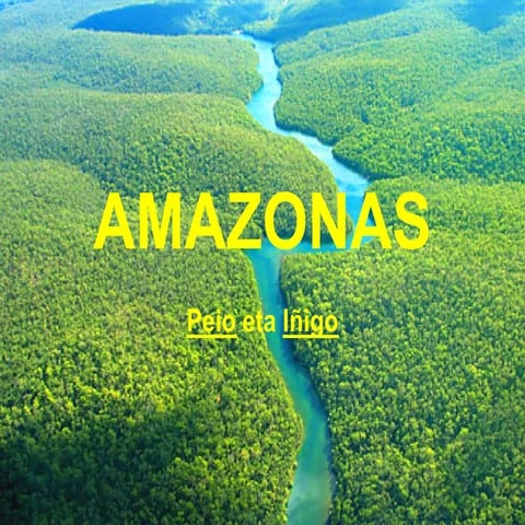 Amazonas | PDF