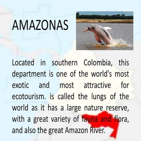 Amazonas | PPTX