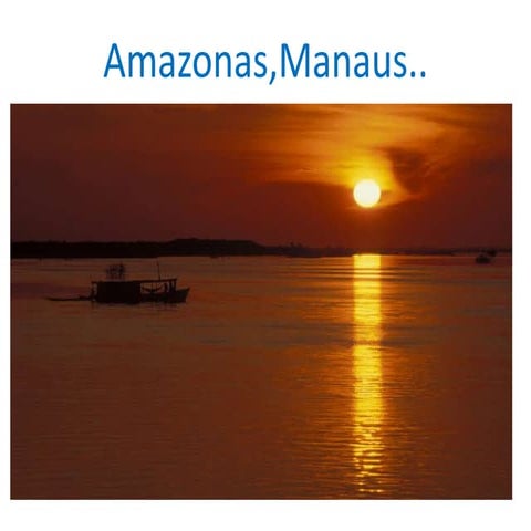 Amazonas,manaus | PPT