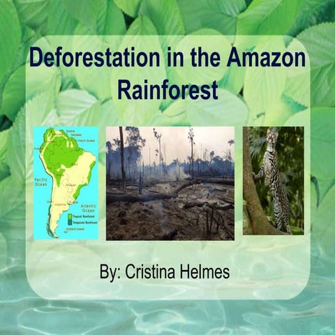 Amazon deforestation presentation | PPTX
