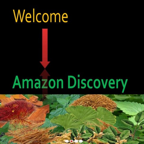 Amazon discovery | PPT