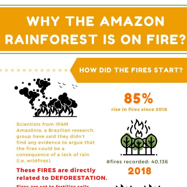 Info graphic on Understanding the Amazon Rain forest Fire 2019 | PDF