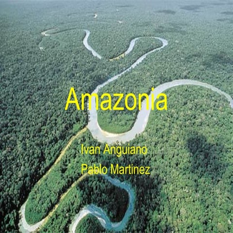 Amazonia | PPT