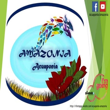 Amazonia english version | PPTX