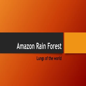 Amazon rain forest | PPT