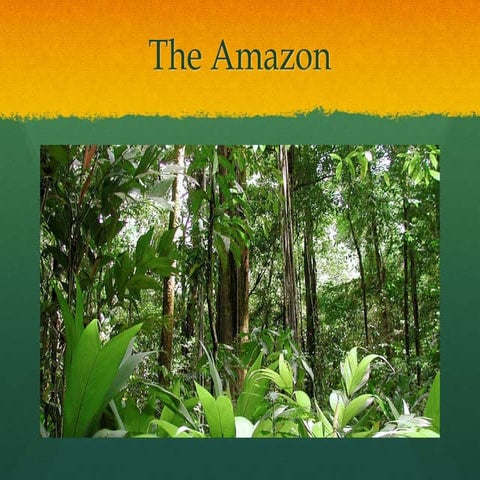 amazon_rainforest_case_study.pptx
