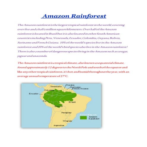 Amazon rainforest geography | DOCX