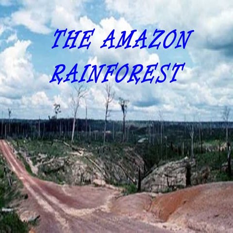 Amazon rainforest | PPT