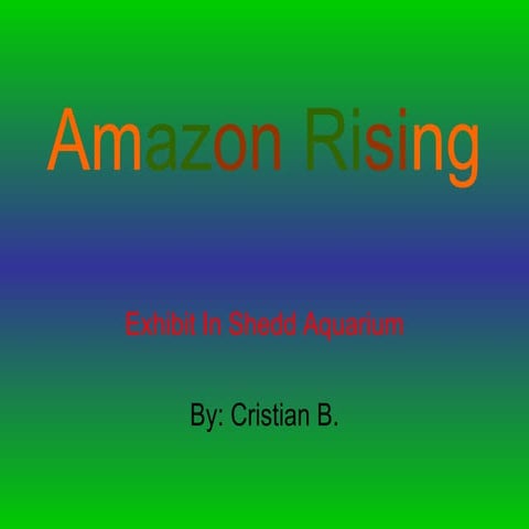 Amazon Rising | PPT
