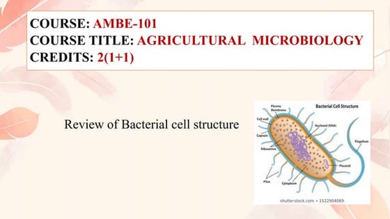 Archea cell wall and membrane | PPT