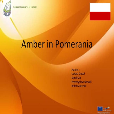 Amber | PPT