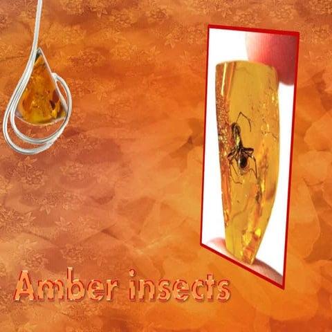 Amber Insects | PPTX