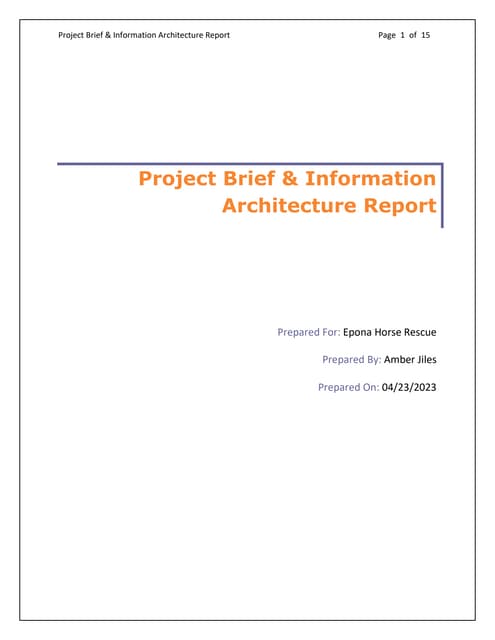 Project Brief and Information Architecture Report for EHR | PDF