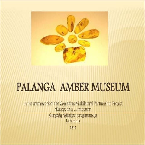 Amber | PPT