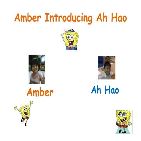 Amber N Hao Sponge | PPTX