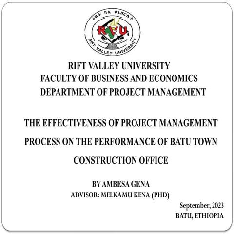 THE EFFECTIVENESS OF PROJECT MANAGEMENT PROCESS ON THE PERFORMANCE OF ...