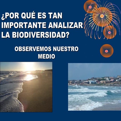 Ambiente costero | PPT