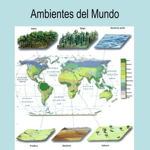 Ambientes del mundo | PPT
