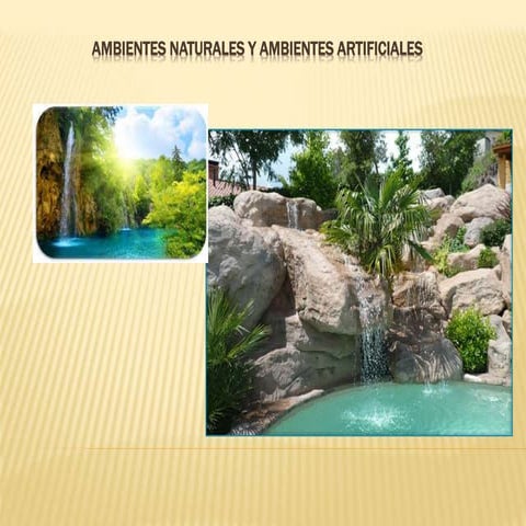 Ambientes naturales y ambientes artificiales | PPTX