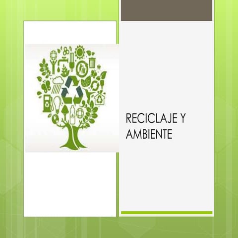 Proyecto De Reciclaje | PPT